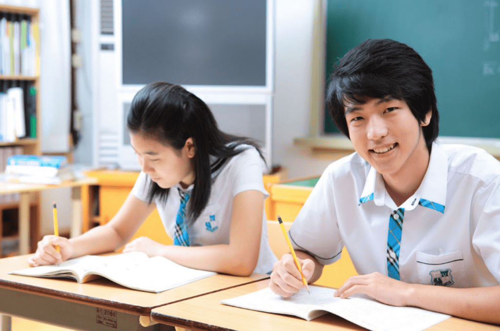 How to use Free Exam Papers?