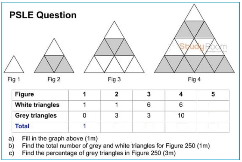PSLE Maths Paper Tough PSLE Maths Questions How To Prepare For It