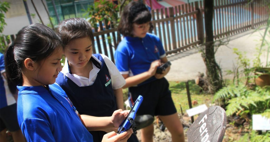 Schools Merging: How Will This Affect Students?