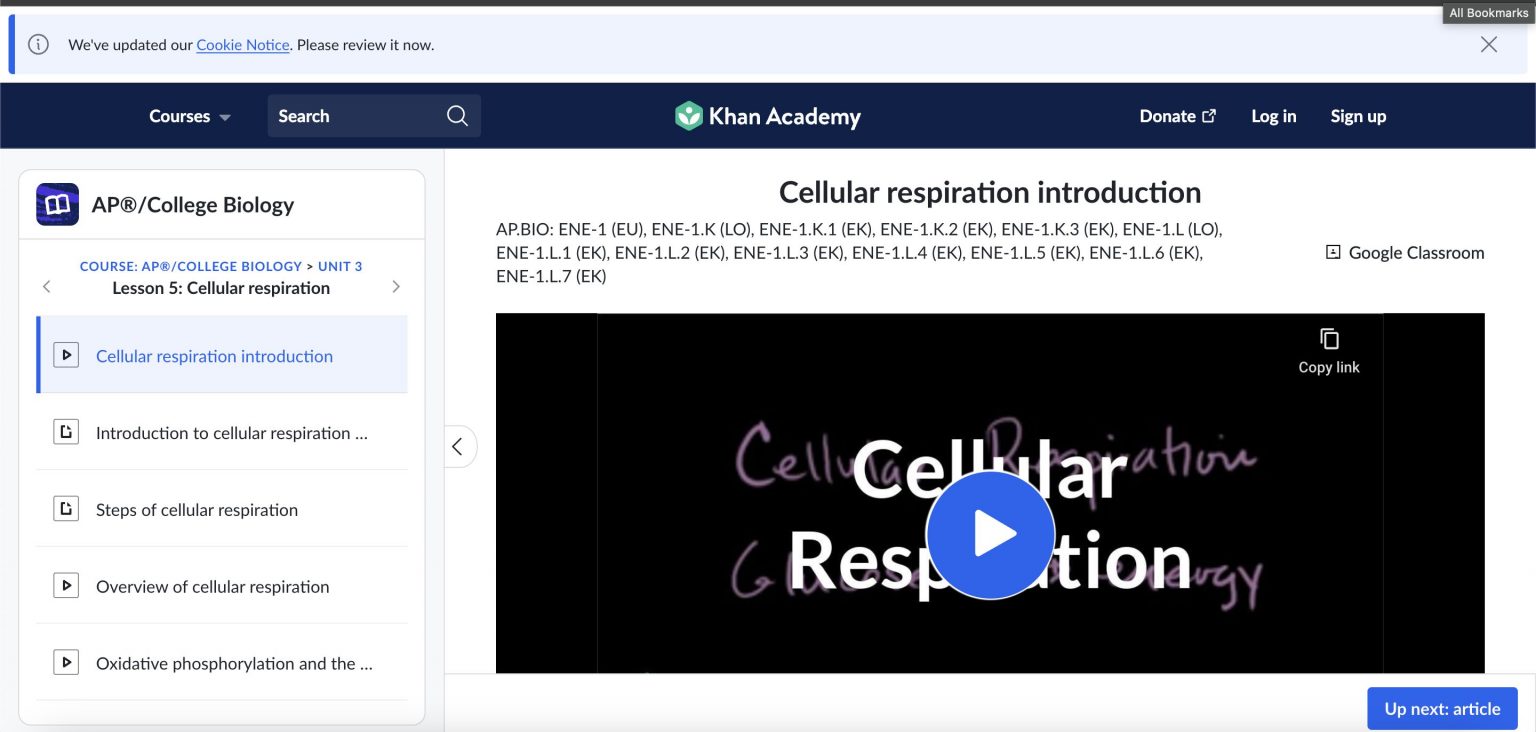 Master O Level Biology Practical Exams: Top Resources & Tips